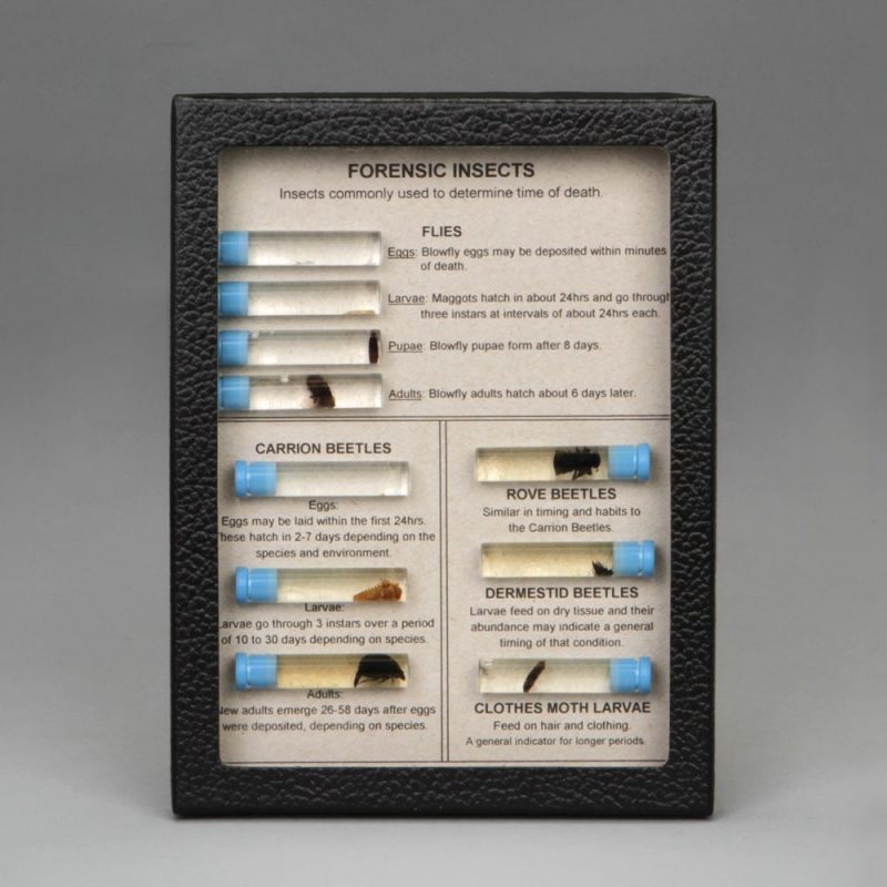 Carolina® Basic Firearm Identification Kit - True Crime Forensics ...